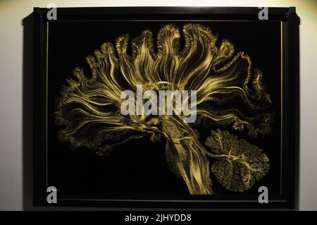 'Self Reflected', a giant dynamc 23k gold microetching depicting neural activity in the human ...