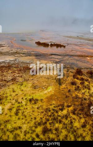 Detail of colorful Yellowstone pools of acidic sulfur Stock Photo - Alamy