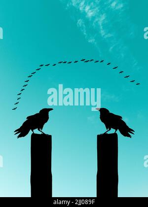Two crows on a wooden fence on the background of autumn landscape Stock ...