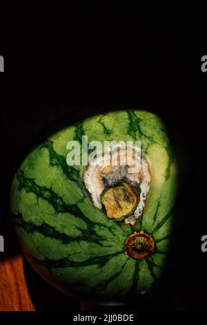 watermelon with a mold Stock Photo - Alamy