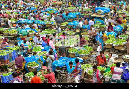 Busy wholesale mango market in rural Bangladesh, mangoes stacked on bi ...