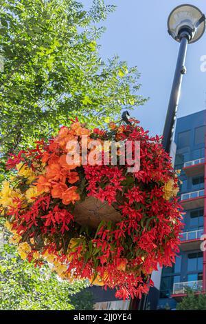 Hanging flower baskets on Calgary downtown streets in summer Stock ...
