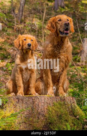 A closeup shot of a small area covered with clear water surrounded by ...