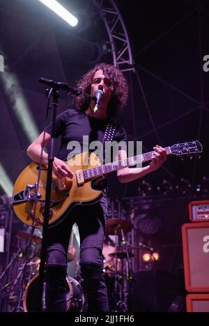 Francesco Pellegrini, member of the band The Zen Circus, performs live ...