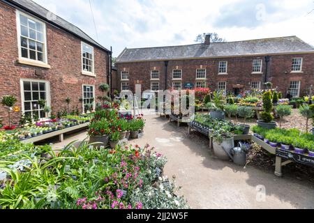 Lytham Hall Café & Tearoom, Lytham Hall, 18th-century Georgian country ...
