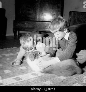 The Skarp family, Norra Ås road 29.11 December 1954 Stock Photo - Alamy