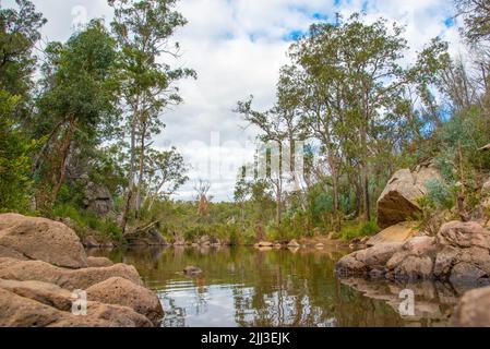 Stunning Australian bush landscape at Crows Nest Falls, Queensland ...