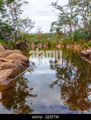 Stunning Australian bush landscape at Crows Nest Falls, Queensland ...