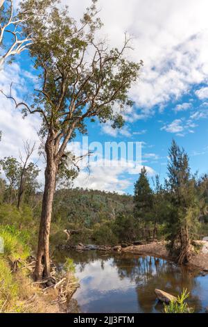 Stunning Australian bush landscape at Crows Nest Falls, Queensland ...