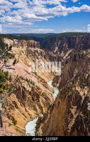 Beautiful river landsacpe around Grand Canyon of Yellowstone at Wyoming ...
