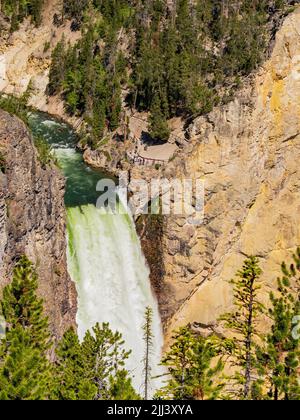 Brink of the Lower Falls vista point of the Yellowstone in Yellowstone ...