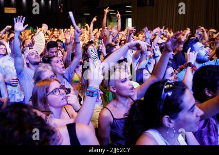 BARCELONA - JUN 18: View of the crowd at Sonar Festival on June 18 ...