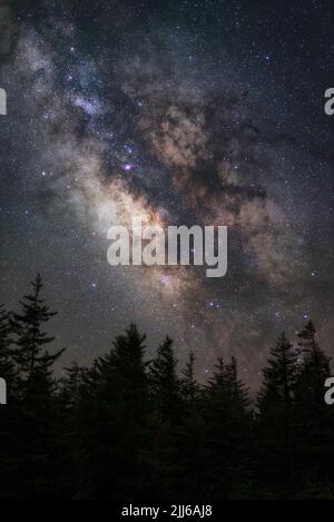Milky Way just above silhouetted trees near Raeford North Carolina ...