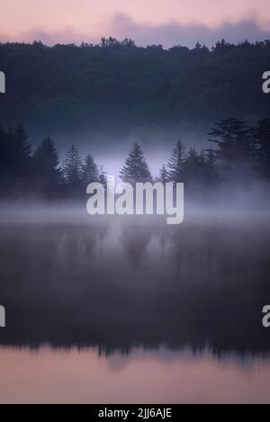 Early morning fog rising off the mountains in British Columbia Stock ...