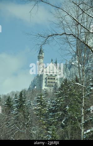 Vertical shot of the Neuschwanstein Castle surrounded by autumn trees ...