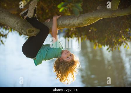 Cute blonde child boy hangs on a tree branch. Summer holidays, little ...