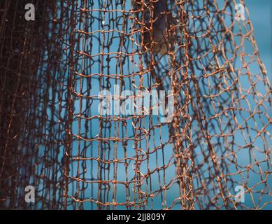 Brown fisher net to catch fish Stock Photo - Alamy