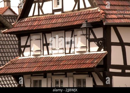 A building made with Wattle and Daub walls with a green wood timber ...