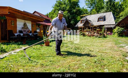 a farmer is cutting gras with a sense in Romania Stock Photo - Alamy