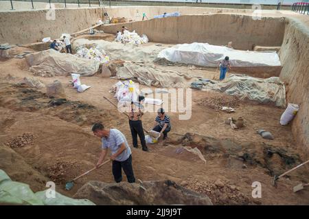 Archaeological excavation. Archaeologists carefully remove debris from ...