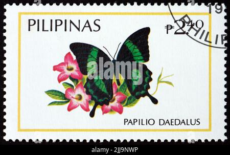 Emerald Swallowtail (Papilio palinurus), native to the Philippine ...