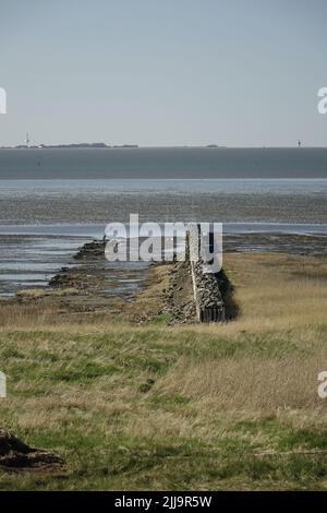 Stone path leading to old lighthouse and building Stock Photo - Alamy