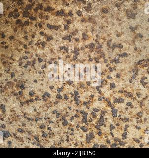 Rust spots on a metal surface Stock Photo - Alamy