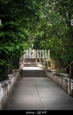 Marjan Hill Stairs, Staircase with over 300 steps, climbing to an ...