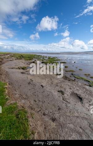 Saltmarsh habitat near the Caerlaverock nature reserve on the Solway ...