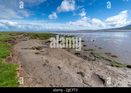Saltmarsh habitat near the Caerlaverock nature reserve on the Solway ...