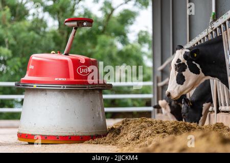 Lely Juno, a robot designed to push silage in front of cattle as they feed. Dumfries, UK Stock ...