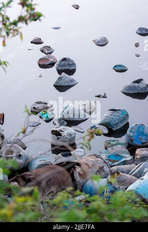 A various objects thrown into the lake with which the environment is ...