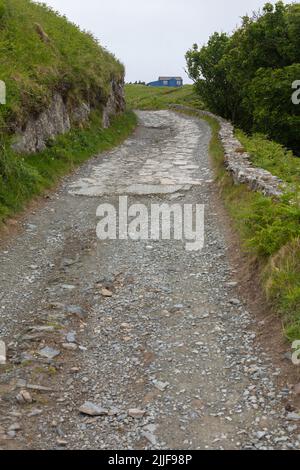 Path leading up to Lundy village, Lundy, UK Stock Photo - Alamy
