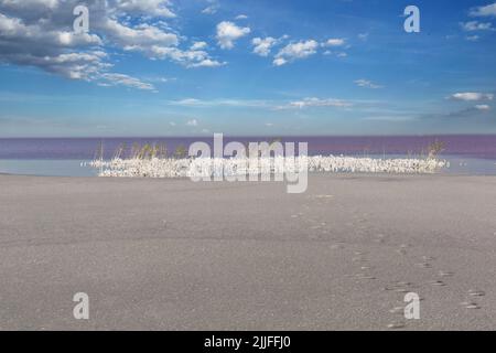 Dried salt lake layer of salt, blue sky and clouds Stock Photo - Alamy