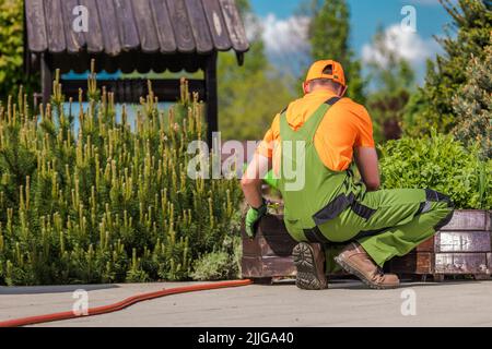 Caucasian Gardener in His Work Uniform Planting Flowers and Plants on a ...