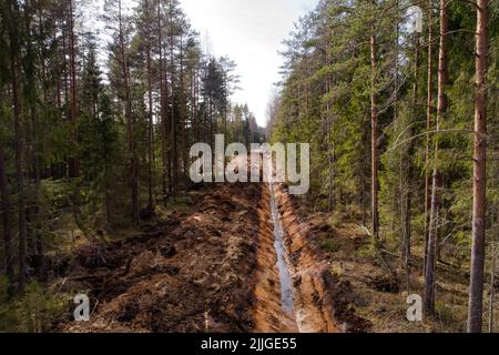 Reconstruction of a drainage ditch in the middle of a forest in Estonia ...
