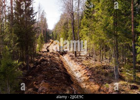 Reconstruction of a drainage ditch in the middle of a forest in Estonia ...