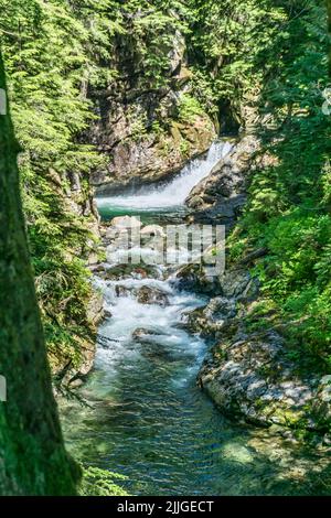 A small waterfall at Denny Creek in Washington State Stock Photo - Alamy