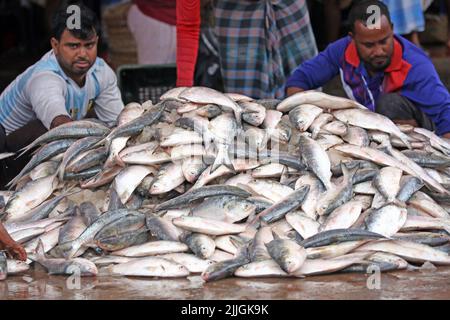 People process Hilsa fish at a fish landing station in Chattogram ...