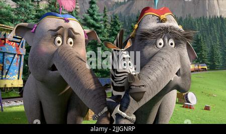 MARTY, MADAGASCAR 3: EUROPE'S MOST WANTED, 2012 Stock Photo - Alamy