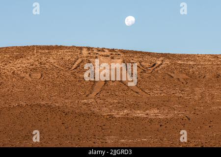 The Giant of the Atacama, a large prehistoric geoglyph on Cerro Unitas ...