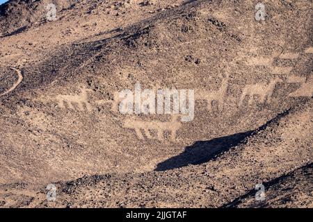The Cerros Pintados Geoglyphs were made between 700 and 1500 A.D in the ...