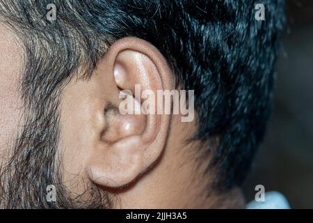 close -up shot of a human earlobe with cartilage piercings Stock Photo ...