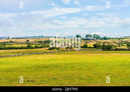 Farm on the Anglesey Island Stock Photo - Alamy
