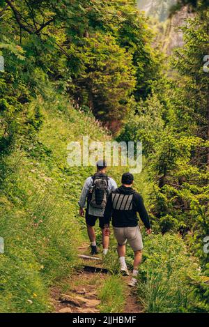 A vertical shot of a narrow walk path surrounded by golden autumn trees ...