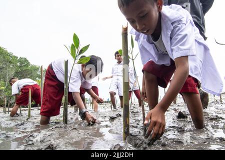 Children learn about planting trees Stock Photo - Alamy