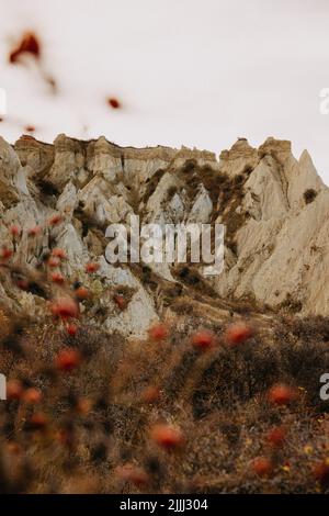 Clay Cliffs, famous attraction in New Zealand Stock Photo - Alamy