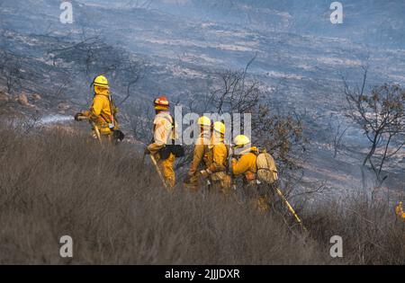 Firefighters working the flank of a fire in San Diego, California Stock ...
