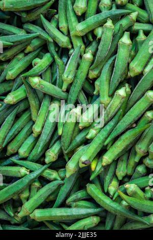 Close up of fresh Bhindi, Lady Fingers,Okra green vegetable Abelmoschus ...