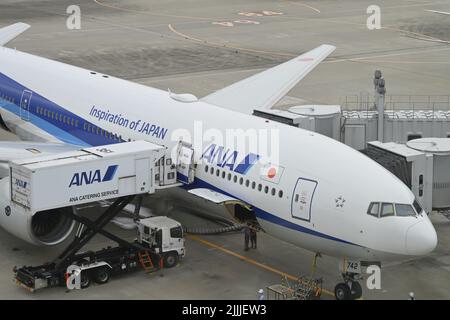 NH255 (777-200ER, JA742A) to Fukuoka, the first flight of ANA's resumed ...